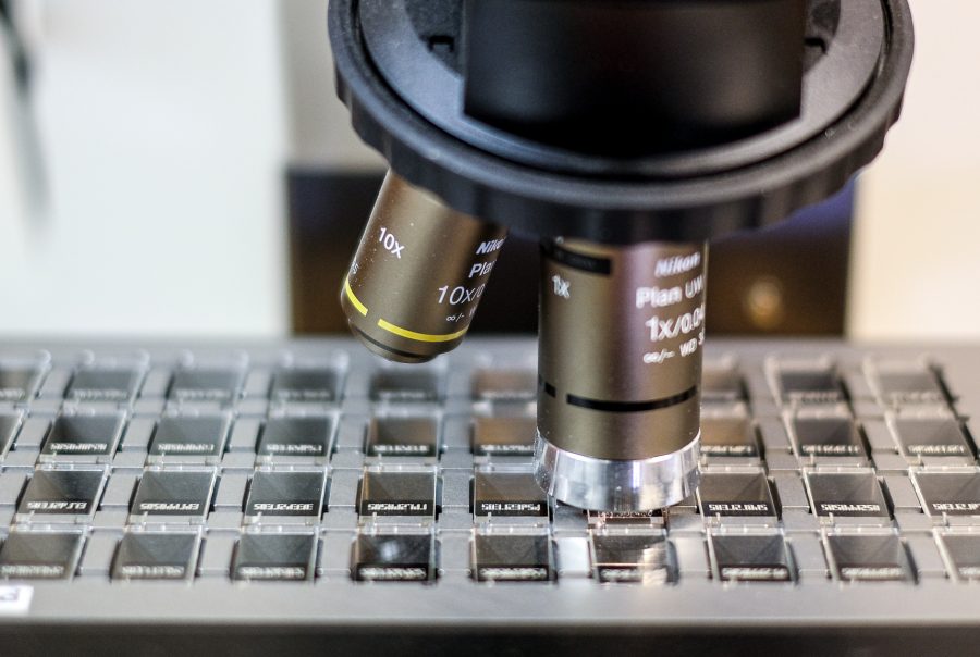 A Guide to Understanding Radon Dosimetry - Radonovalaboratories.com